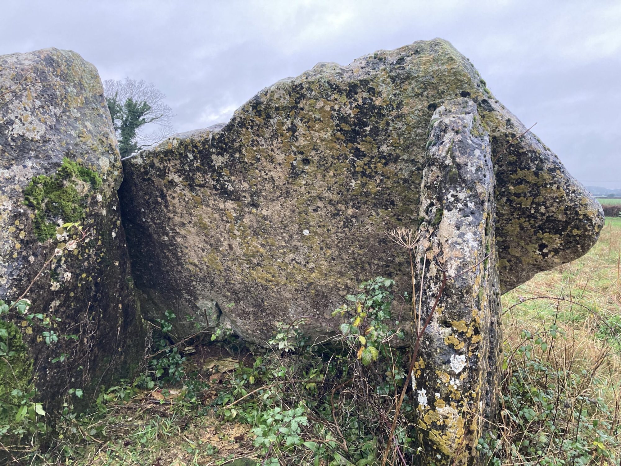 Stone Age Stomp - Burton in Wiltshire