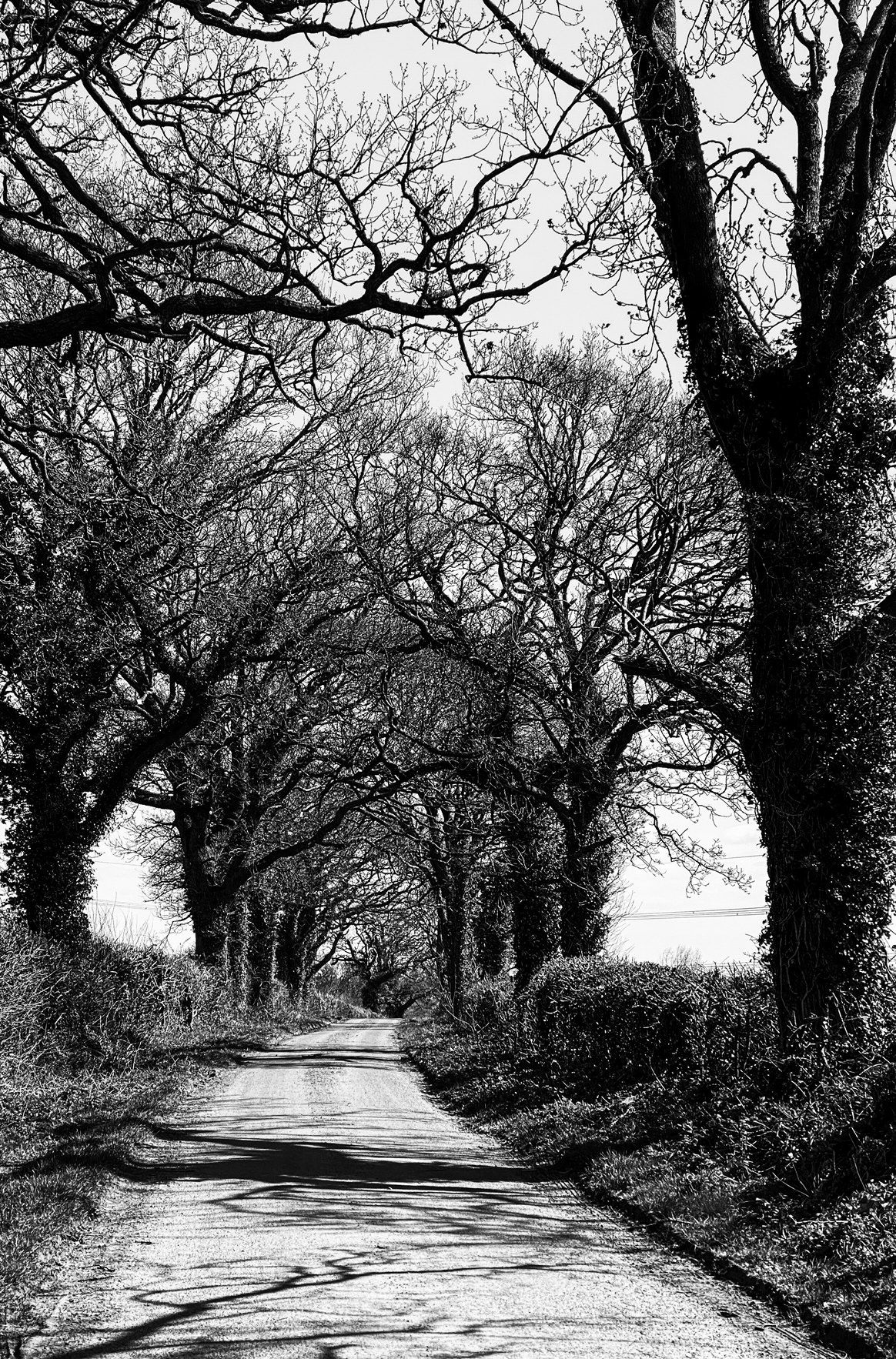 Photo competition - August winners - Burton in Wiltshire